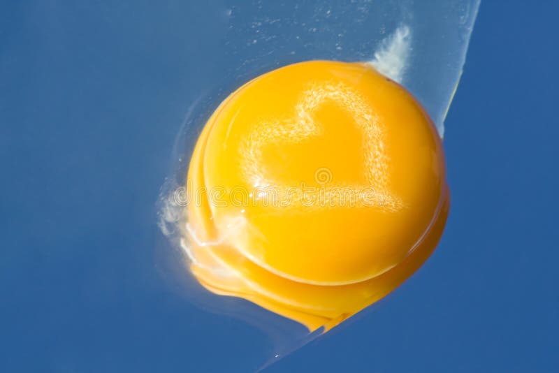 Eigelb-Inneres stockfoto. Bild von farbe, gelb, bestandteil - 17313844