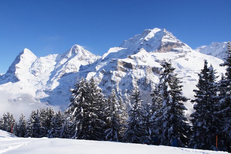 Eiger, Monch Und Jungfrau Im Winter Stockfoto - Bild von tanne, schnee ...