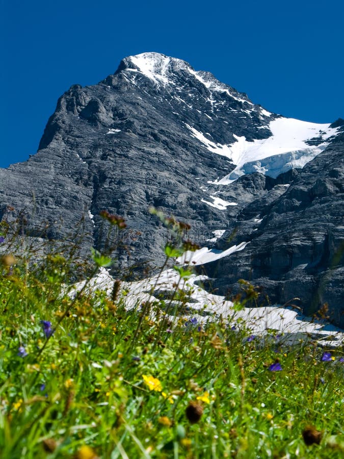 Eiger Mountain in Switzerland Stock Image - Image of high, landscape ...