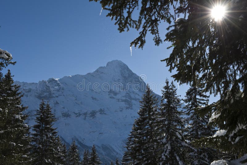 Eiger in winter stock photo. Image of holidays, snow - 29488332