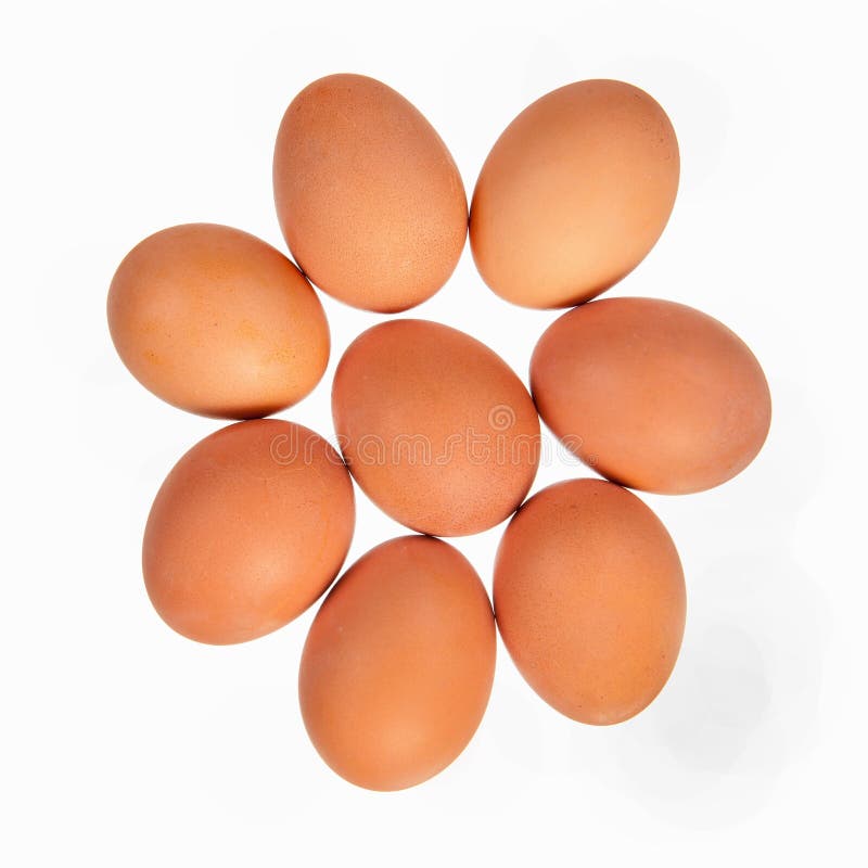 Eight brown eggs stock photo. Image of breakfast, natural - 39430672