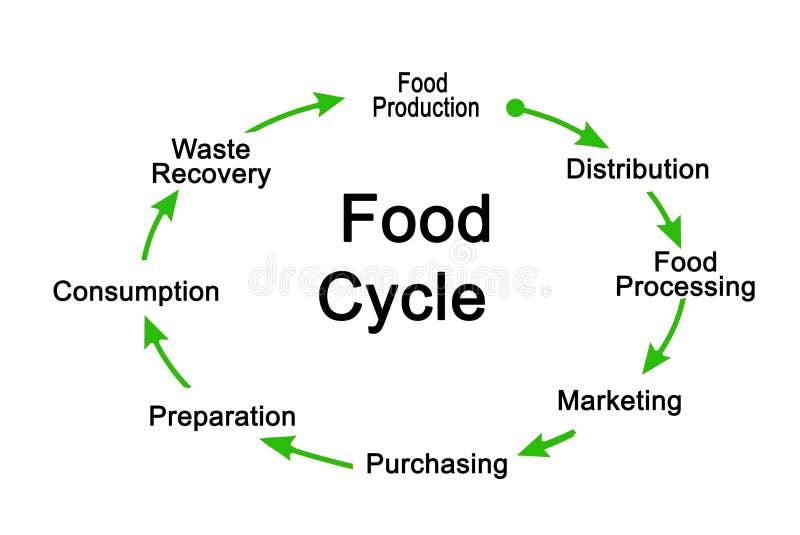 Components of Food System stock illustration. Illustration of system ...