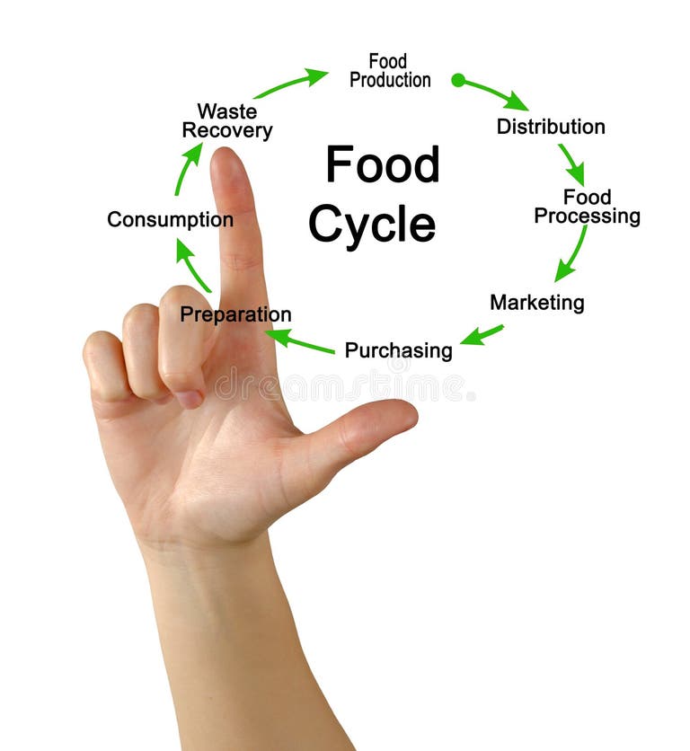 107 Food Waste Management System Stock Photos - Free & Royalty-Free ...