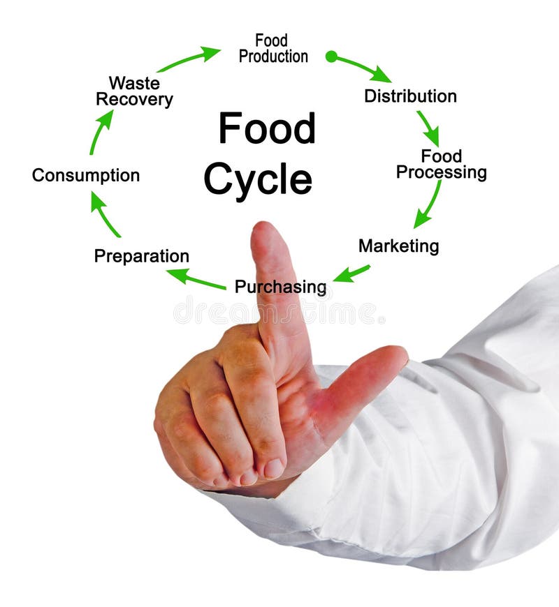 Components of Food System stock image. Image of components - 244833079