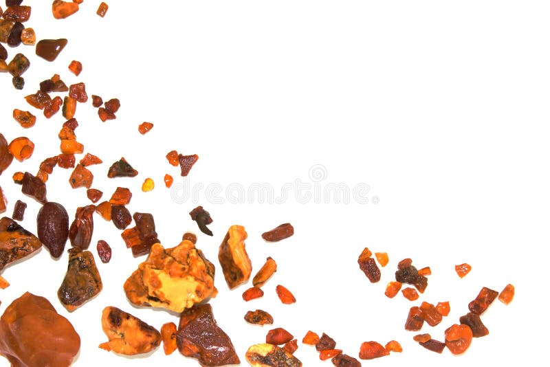 Eight Different Pieces of Amber on a White Background. Stock Image ...