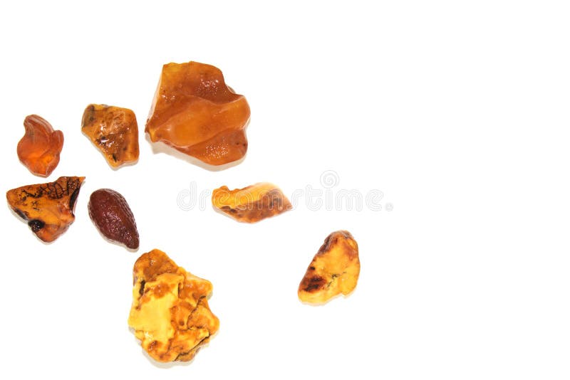 Eight Different Pieces of Amber on a White Background. Stock Photo ...