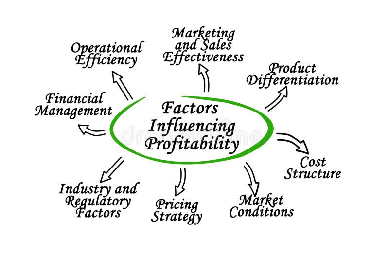 Eight Factors Influencing Profitability Stock Illustration ...