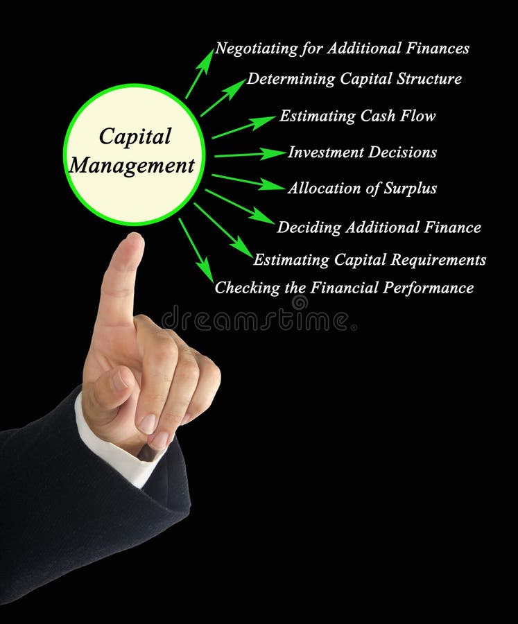 Functions of Capital Management Stock Image - Image of diagram, male ...