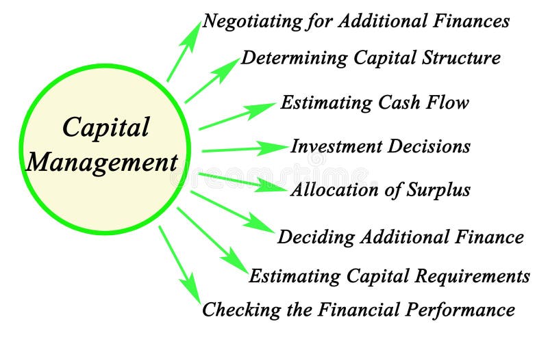 Functions of Capital Management Stock Image - Image of financial, eight ...