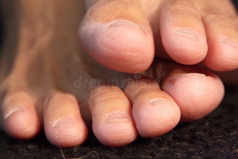 Family Feet and Toes stock image. Image of toes, covered - 19973305