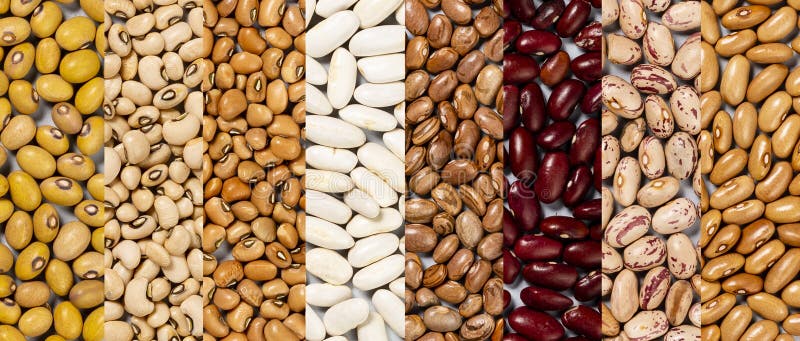 Eight Bees Stock Photos - Free & Royalty-Free Stock Photos from Dreamstime