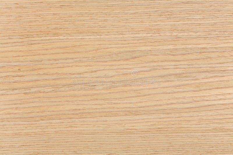 Eiken Textuur Met Natuurlijk Houten Patroon Stock Afbeelding - Image of ...