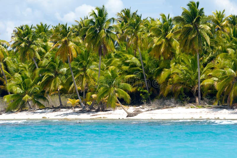 Eiland met mooi strand stock afbeelding. Image of paradijs - 39066187