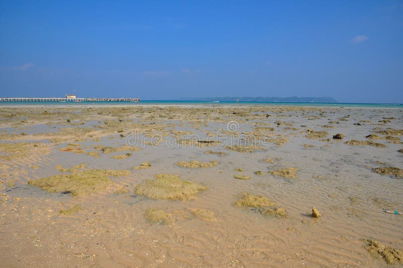 Eilandstrand met koraal stock foto. Image of zand, overzees - 36429716