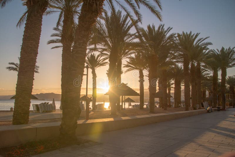 Eilat Sunset with Palm Trees Stock Image - Image of outdoor, orange ...