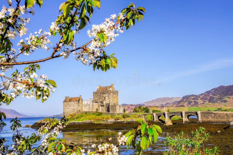 The Eilean Donan Castle with Spring Tree in Highlands of Scotland Stock ...