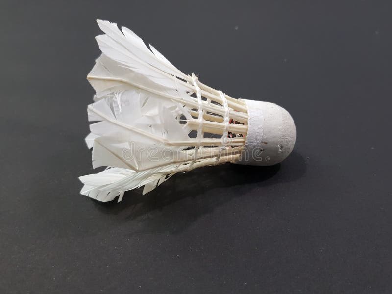 Ein Federball stockbild. Bild von schwarzes, badminton - 103819309