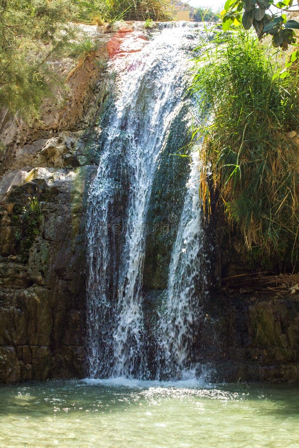 Ein Gedi spring, Israel. stock image. Image of hill, lake - 35010367