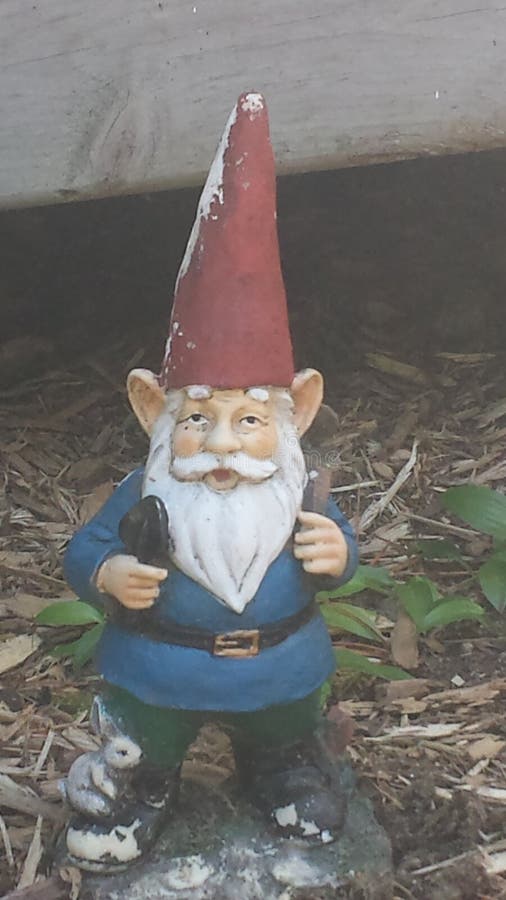 Gnom, Der Mit Grünem Hemd Und Weißem Bart in Der Teilweisen ...