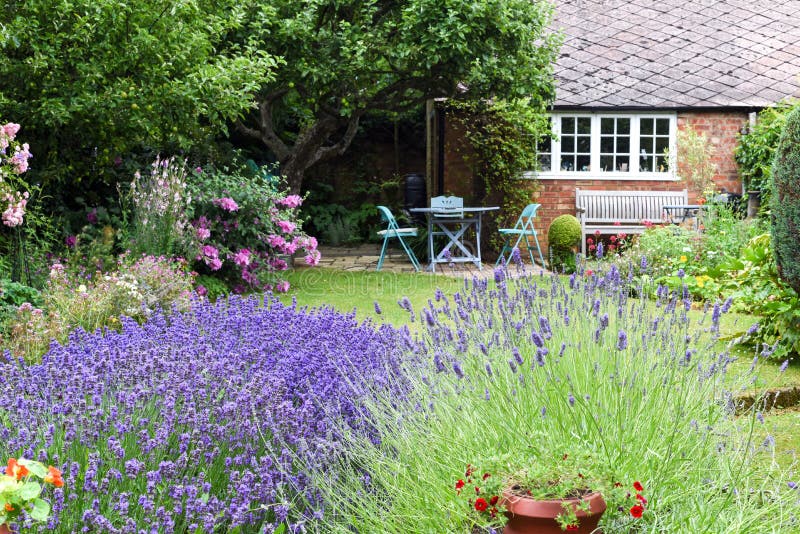 Ein Gut Unterhaltener Hinterhof Oder Ein Garten Mit Rasen, Blumen Und ...