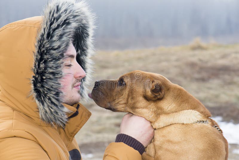 Ein Junger Mann Mit Seinem Hund Stockfoto - Bild von säugetier, hund ...