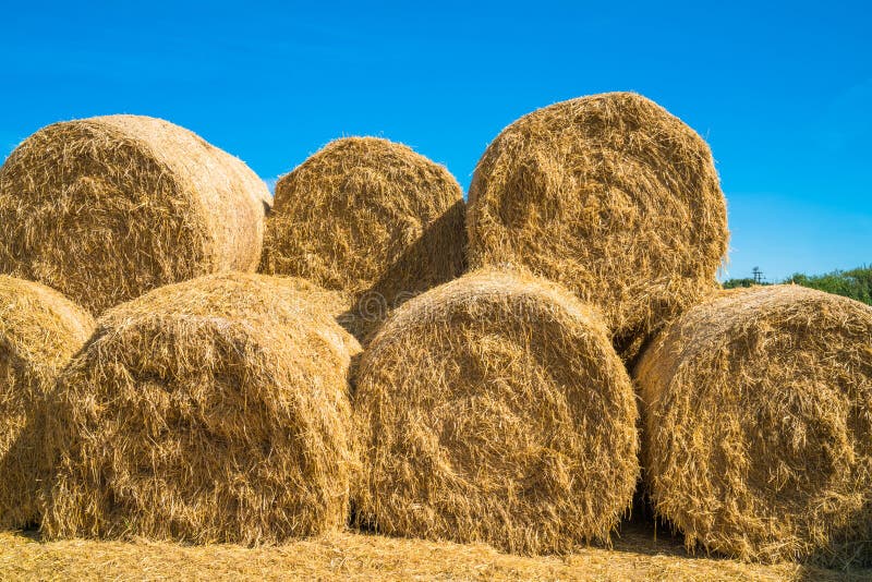 Ballen Heu In Einer Englischen Landschaft Stockfoto - Bild von ...