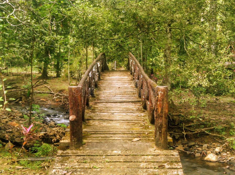 Bukit Wang Recreational Forest in Jitra, Kedah, Malaysia Stockbild ...