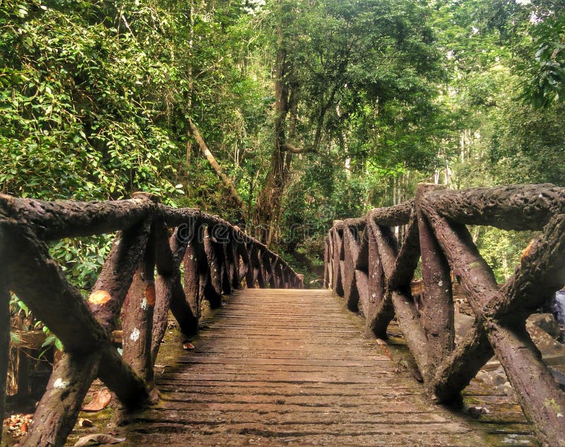 Bukit Wang Recreational Forest in Jitra, Kedah, Malaysia Stockbild ...