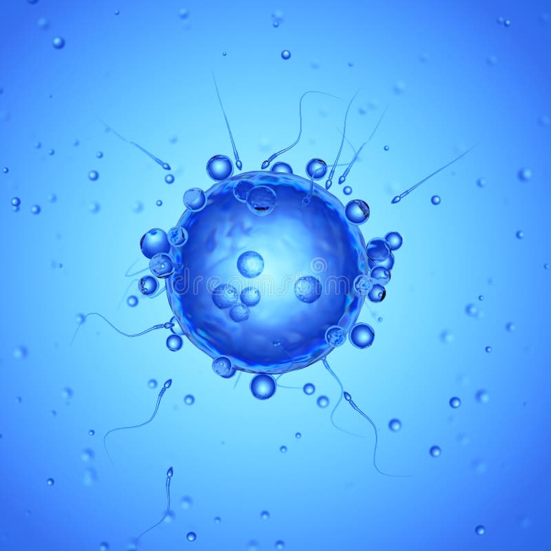 Samenzellen Und Eine Eizelle Stock Abbildung - Illustration von zeugung ...