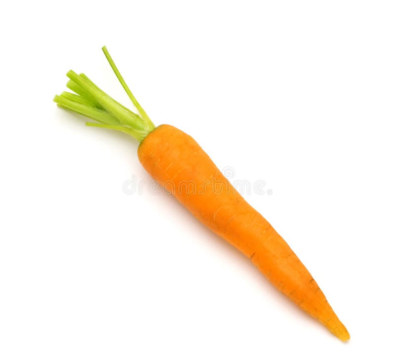 Eine Karotte stockfoto. Bild von vegetarier, nahrung, karotte - 6742400