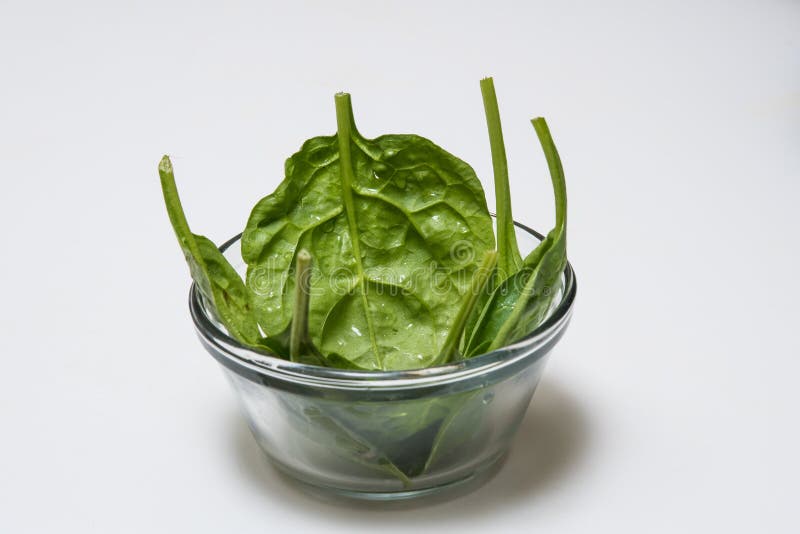Eine Gemessene Schale Babyspinat Stockbild - Bild von erschütterung ...