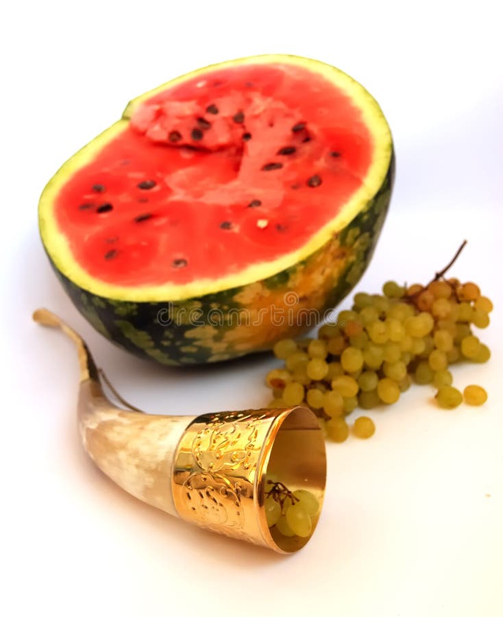 Eine Hupe ist eine Rebe stockbild. Bild von rebe, wein - 11192143