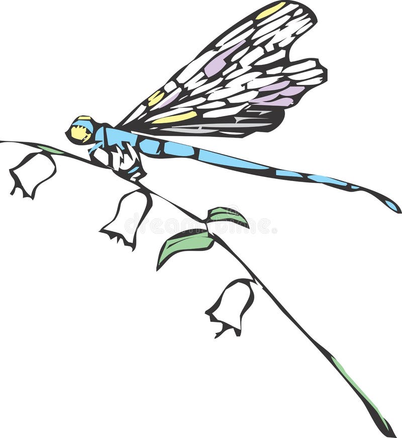 Eine Libelle vektor abbildung. Illustration von plage - 9024142