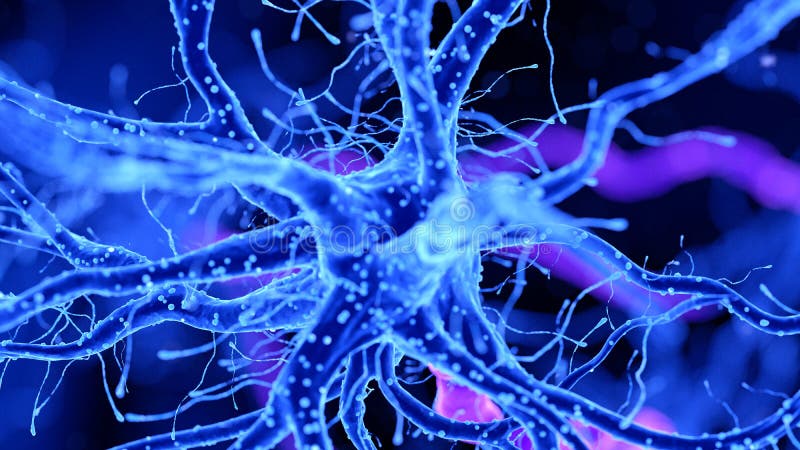 Nervenzelle stock abbildung. Illustration von biologie - 14138397