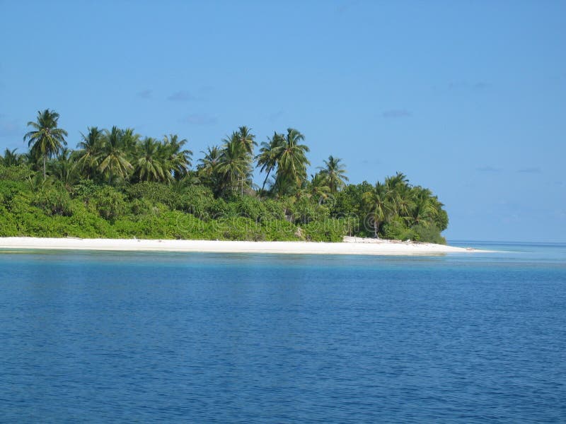 Eine Tropische Insel in Maldives Stockfoto - Bild von luxus, insel: 137288