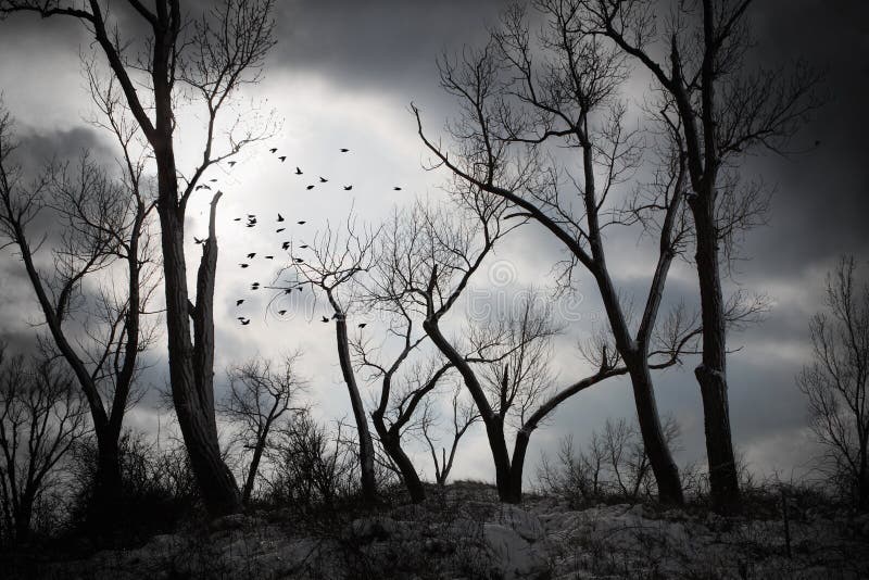 Eine unheimliche Nacht stockbild. Bild von furchtsam, dämmerung - 7442433