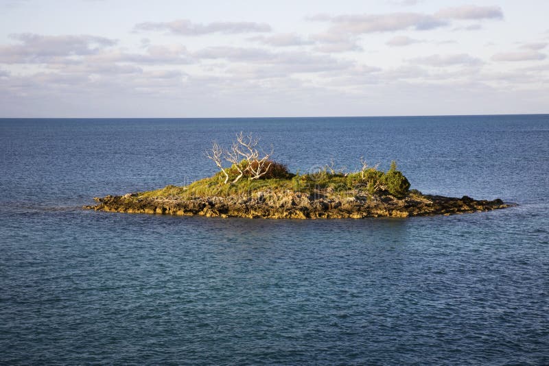 Einsame Insel stockbild. Bild von wasser, gras, alleine - 14004983