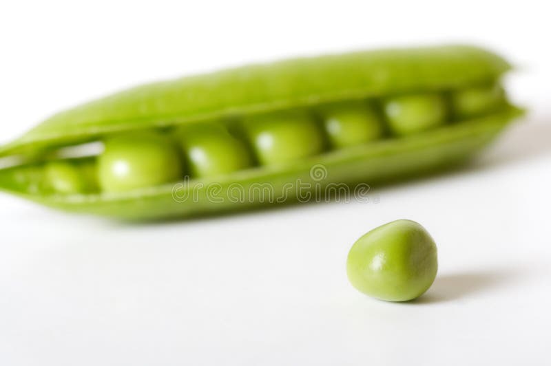 Einzelne Erbse stockbild. Bild von auszug, grün, hülsenfrucht - 2892155