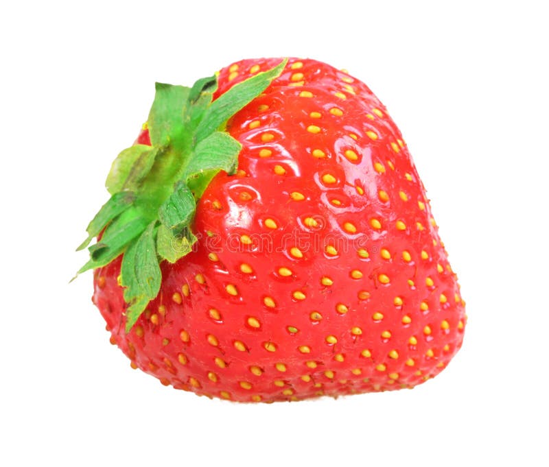 Erdbeere, einzeln. stockfoto. Bild von einzeln, erdbeere - 14852266