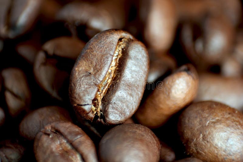 Einzelne Kaffeebohne stockfoto. Bild von einzeln, espresso - 14766514