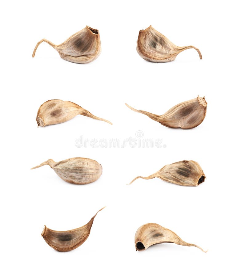 Einzelne Knoblauchzehe Lokalisiert Stockfoto - Bild von nahaufnahme ...