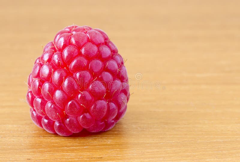 Einzelne Frische Himbeere Stockfotos und Bilder - Laden Sie 154 ...