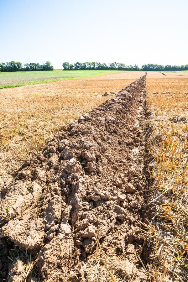 Einzige Furche stockbild. Bild von landwirtschaft, erzeugnis - 92788327