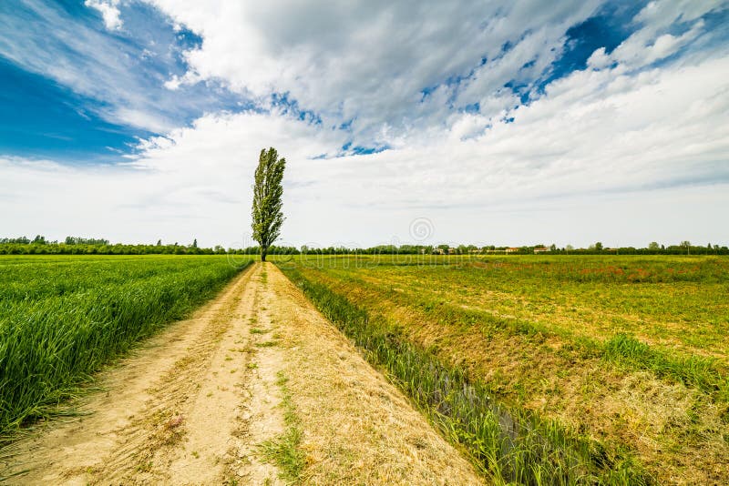 25,549 Baum Im Wind Fotos - Kostenlose und Royalty-Free Stock-Fotos von ...