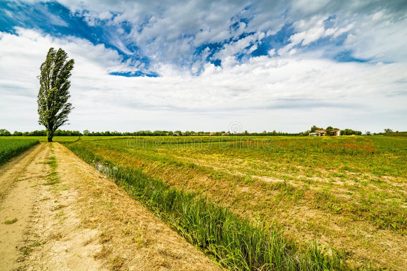 25,549 Baum Im Wind Fotos - Kostenlose und Royalty-Free Stock-Fotos von ...