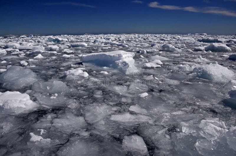 Eisberge Und Packeis, Die Antarktis Stockfoto - Bild von antarktik ...