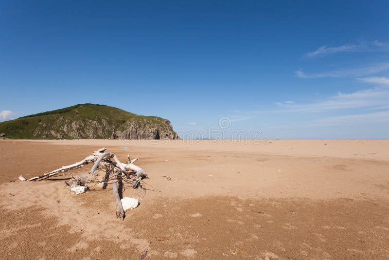 Ejected Sea Wave on the Sand Beach Tree. Yellow Sand and Blue Sky. Wide ...