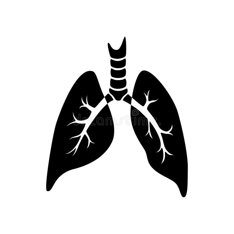 Ejemplo Aislado Vector Del Pulmón Ilustración del Vector - Ilustración ...