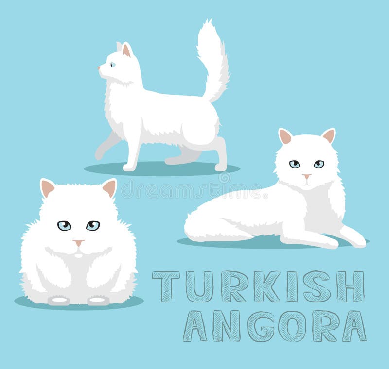Ejemplo De Cat Turkish Angora Cartoon Vector Ilustración del Vector ...
