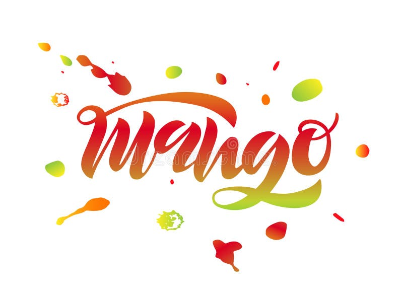 Ejemplo De Color Del Vector De Las Letras Manuscritas Del Mango Stock ...